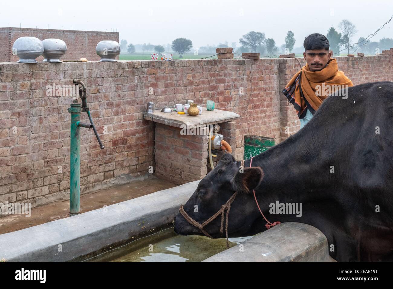 Pakistan farming hi-res stock photography and images - Alamy