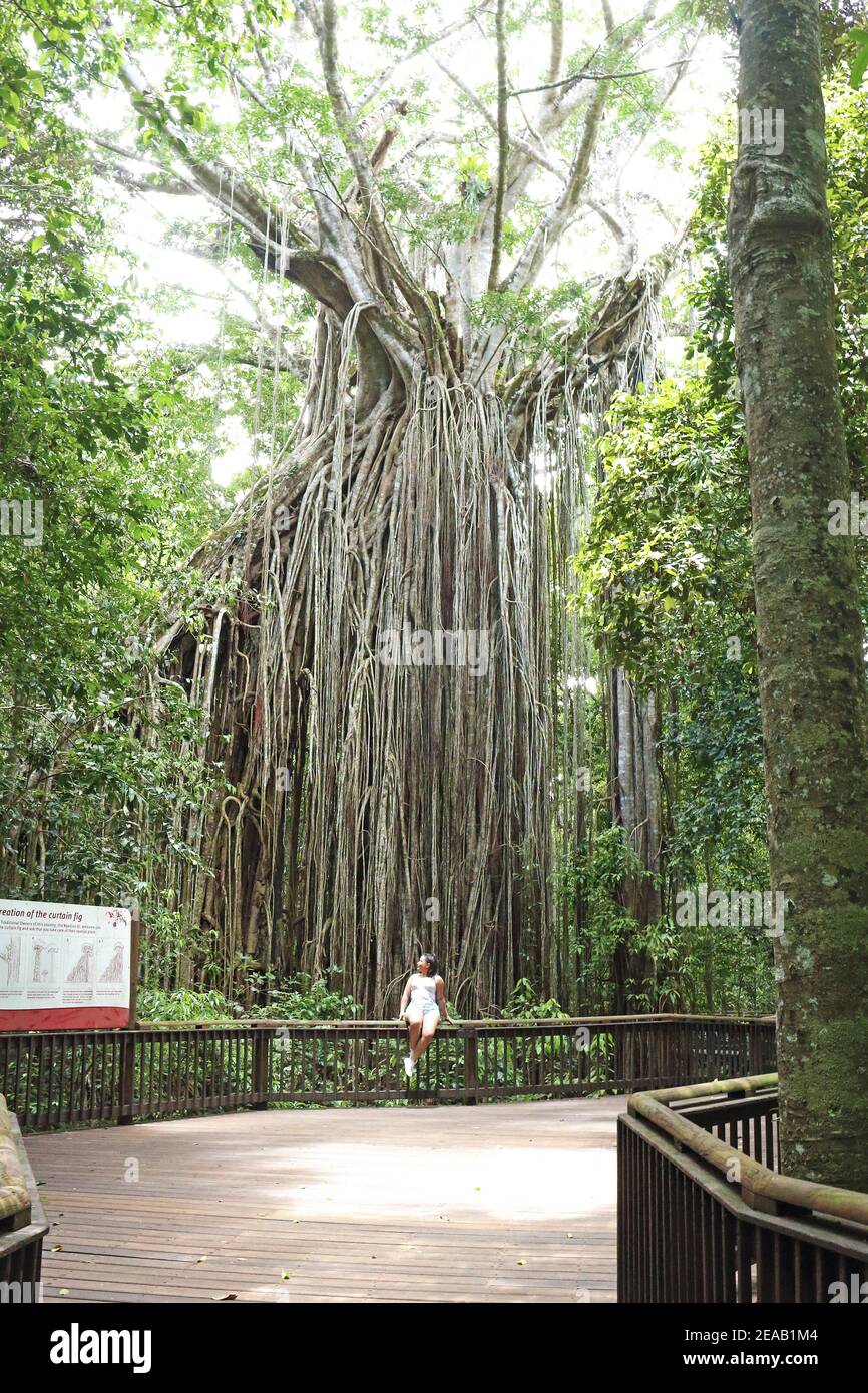Cairns hinterland hi-res stock photography and images - Alamy