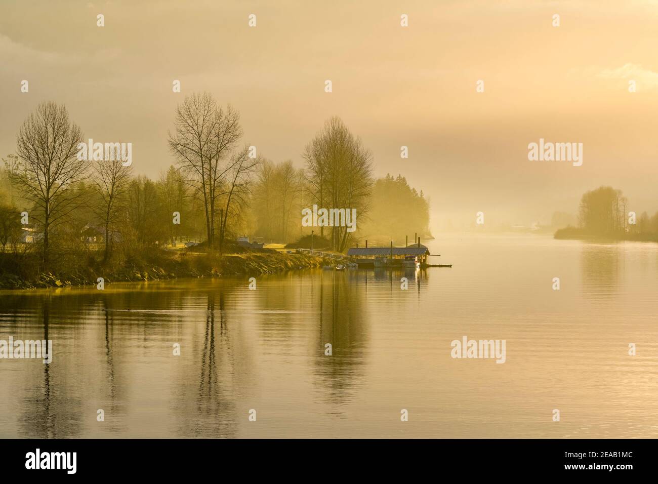 Morning, Fraser River, McMillan Island, , Fort Langley, British ...