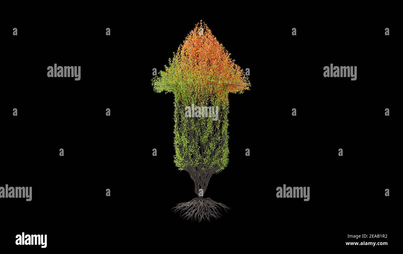 Tree in a shape of an arrow. Seasonal transition on black background ...