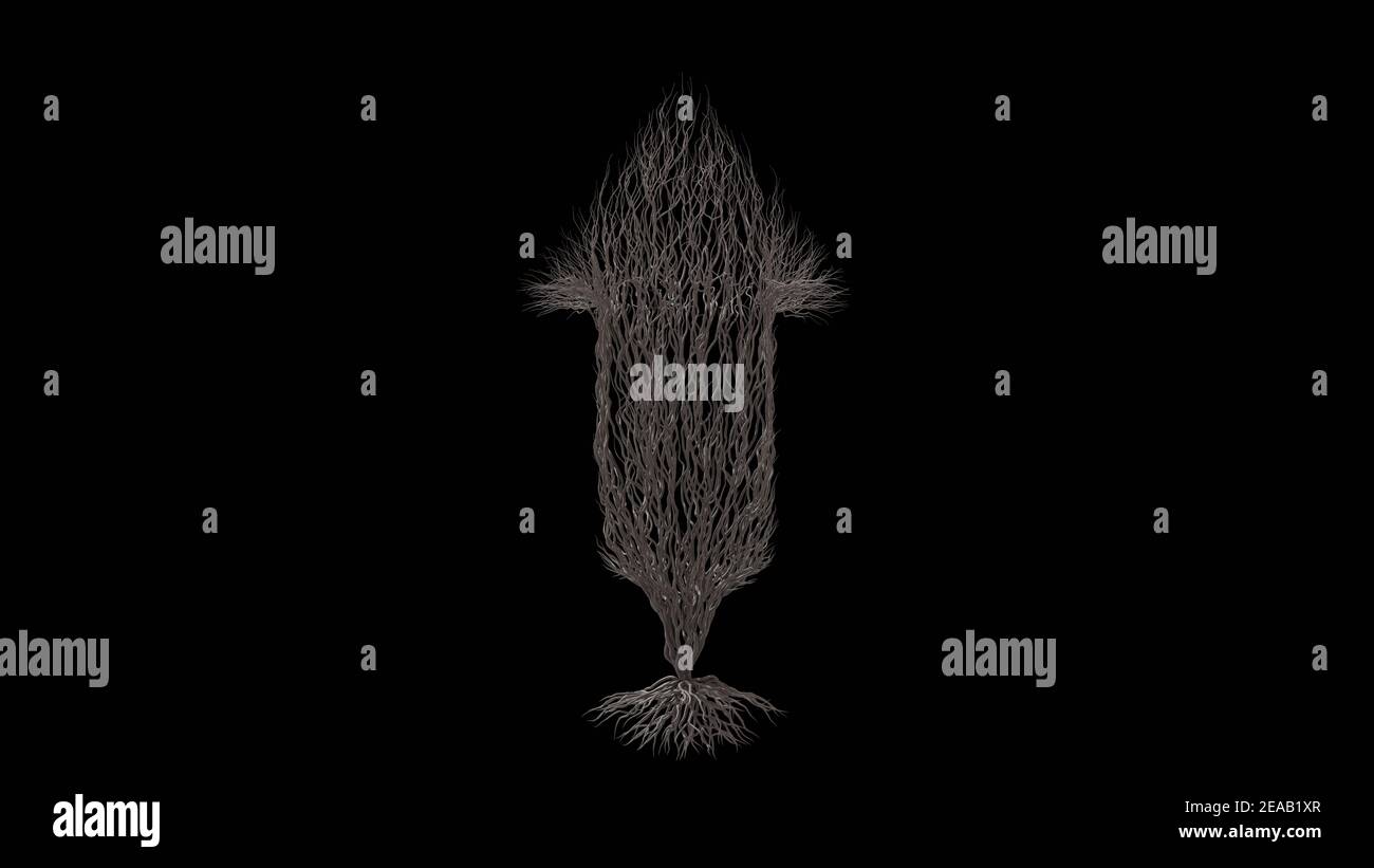 Tree in a shape of an arrow. Seasonal transition on black background ...
