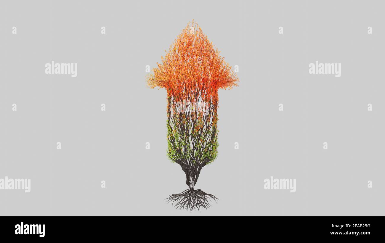 Tree in a shape of an arrow. Seasonal transition on white background ...
