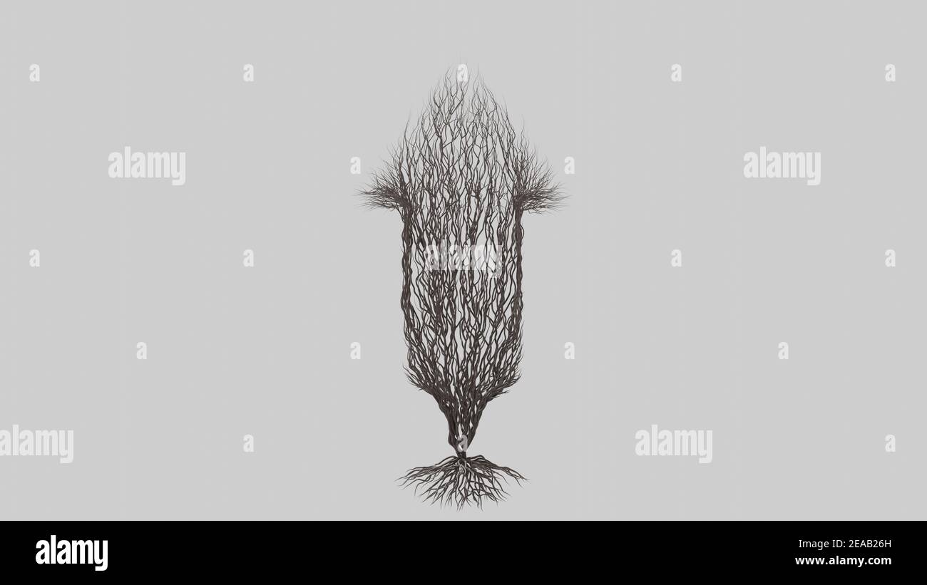 Tree in a shape of an arrow. Seasonal transition on white background ...