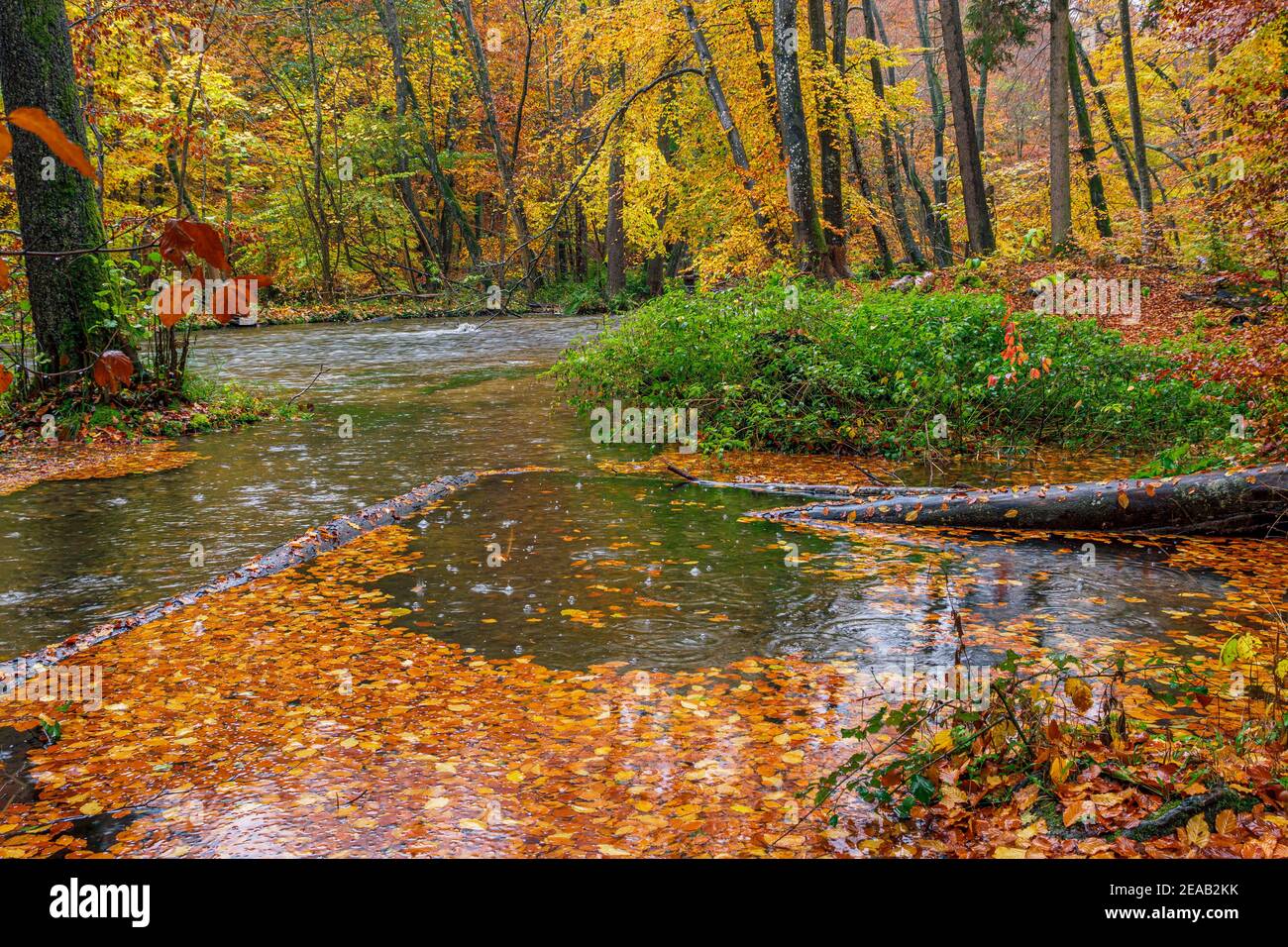 Atmosphere rains in river hi-res stock photography and images - Alamy