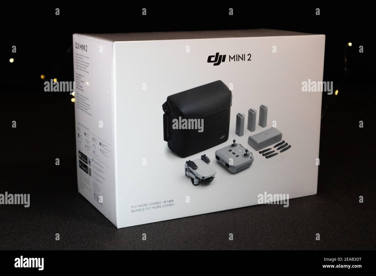 Kiev, Ukraine - February 02, 2021: Dji Mavic Mini 2 drone Bundle Fly ...
