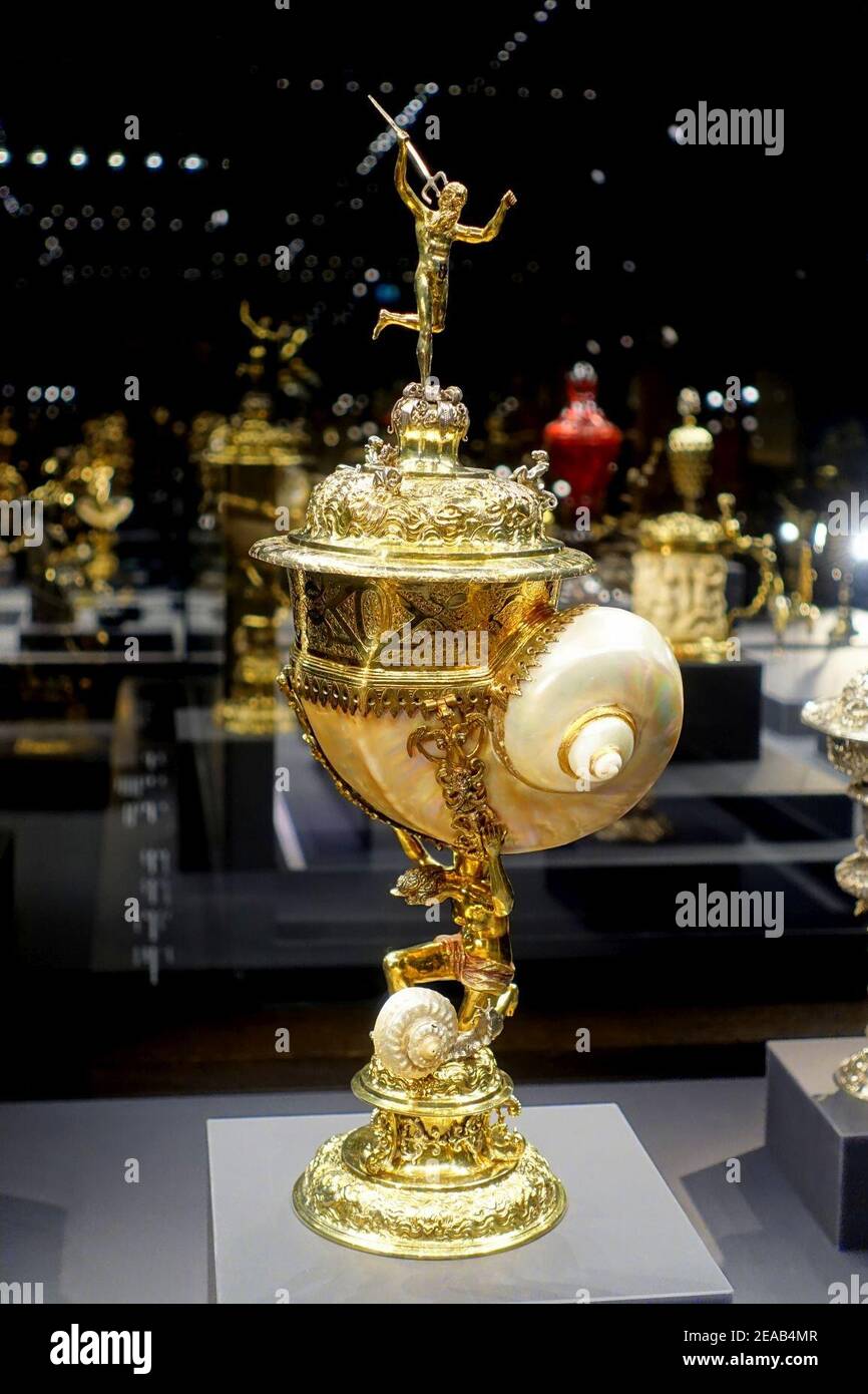 Nautilus shell cup hi-res stock photography and images - Alamy