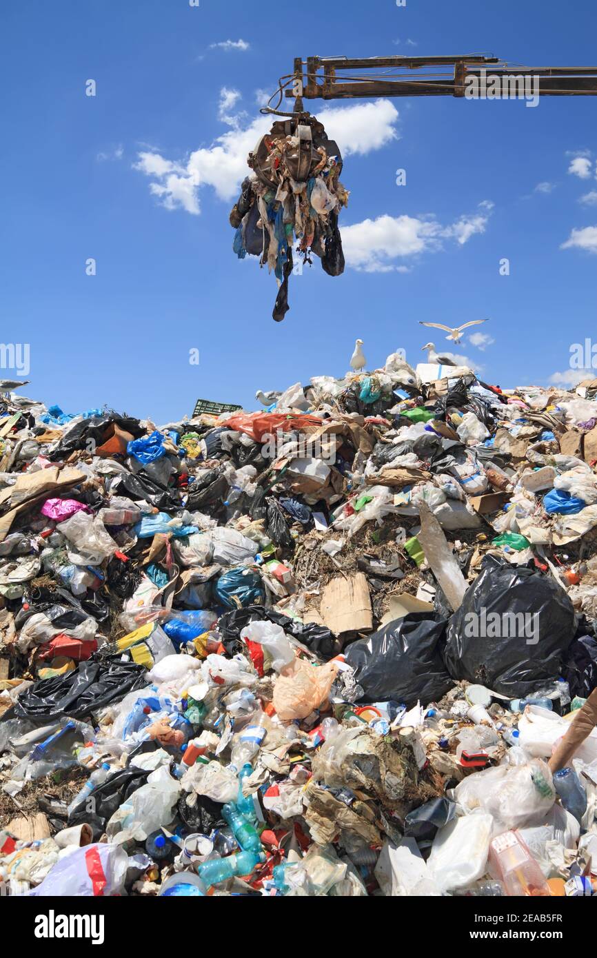 Grabber crane working in landfill Stock Photo - Alamy