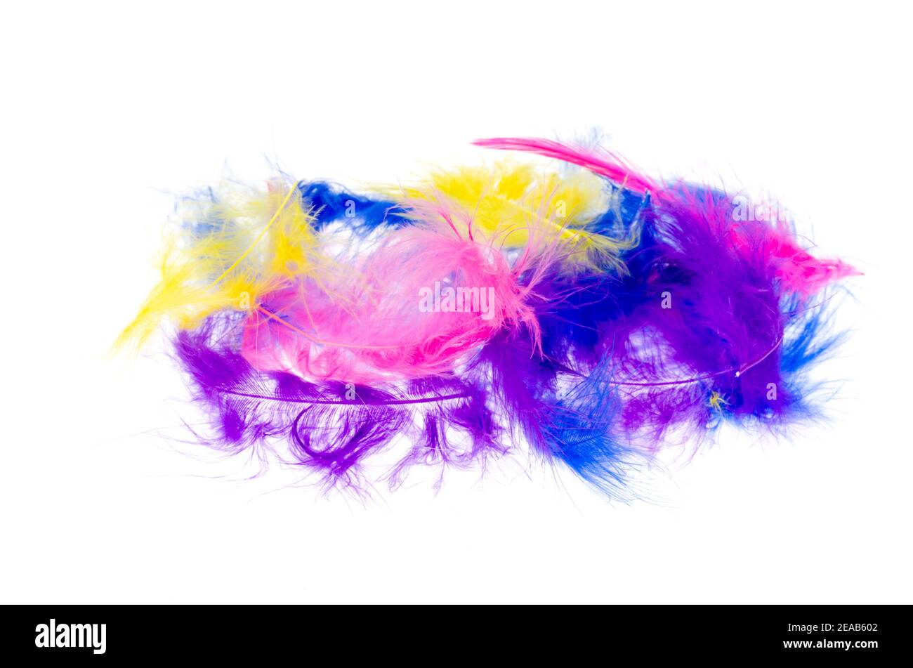 Decorative multi-colored feathers isolated on white background. Studio ...