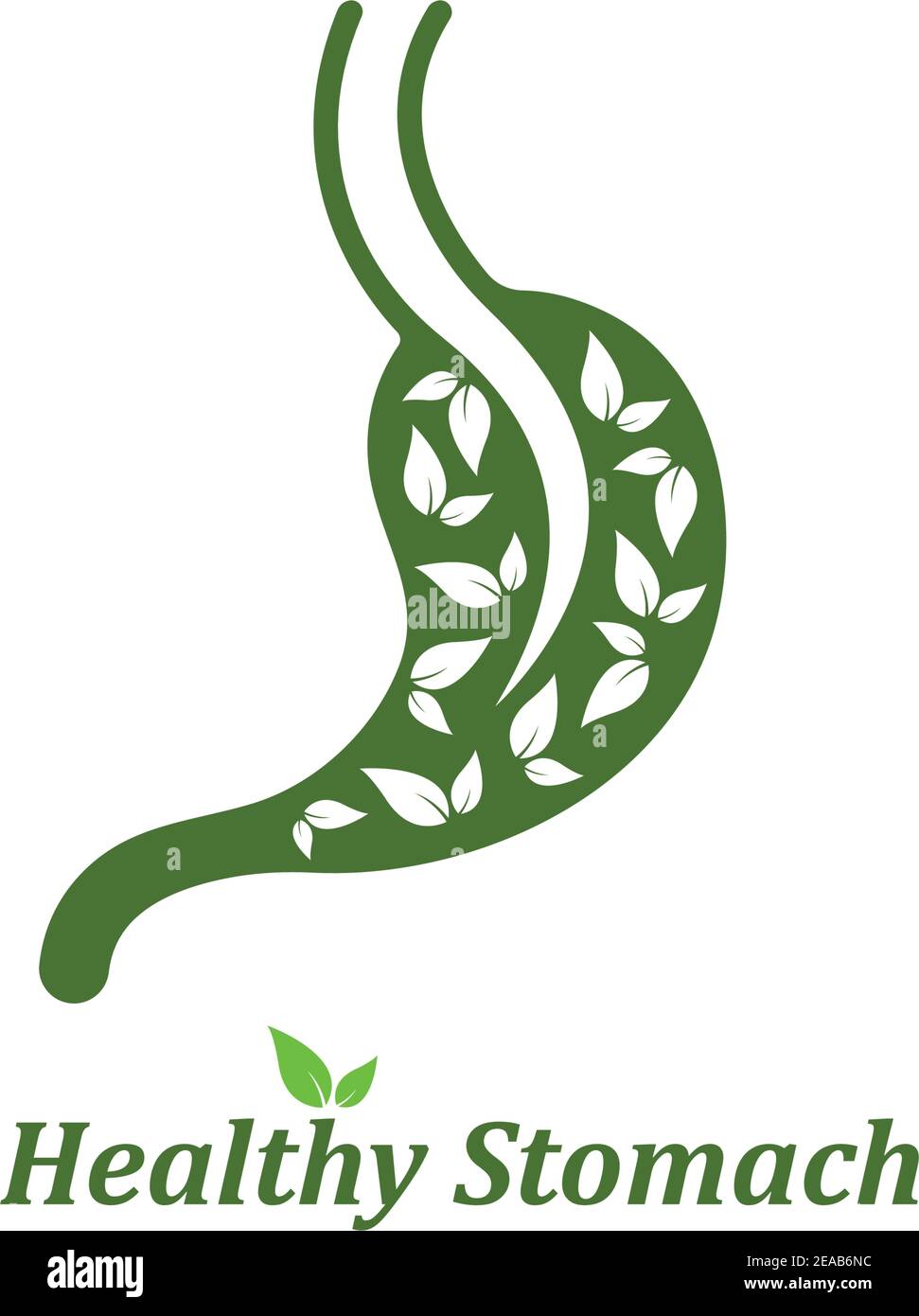 stomach vector illustration design template Stock Vector Image & Art ...