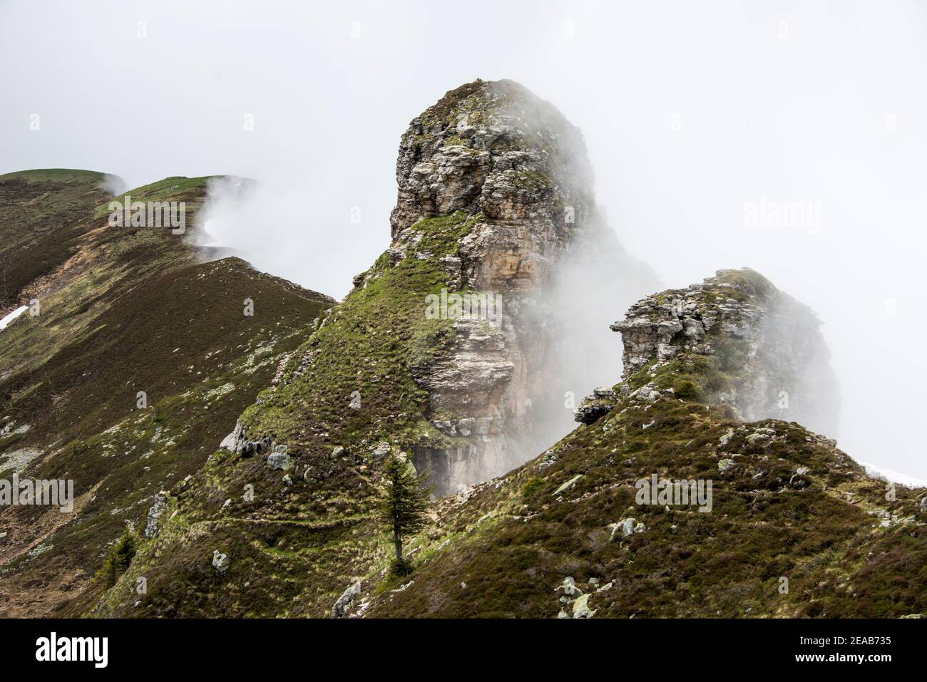 High and rock cliff hi-res stock photography and images - Alamy