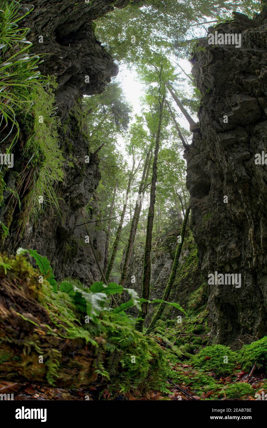 Jurassic rocks jura mountains hi-res stock photography and images - Alamy