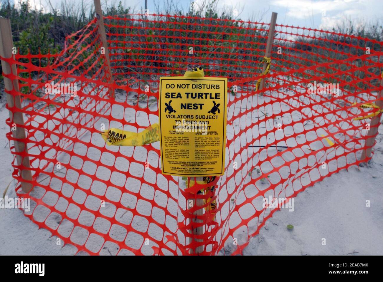 Naval Station Mayport Stock Photo - Alamy