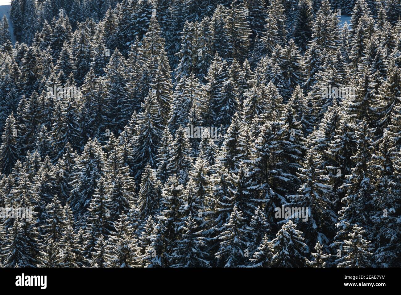 Layers of snow hi-res stock photography and images - Alamy