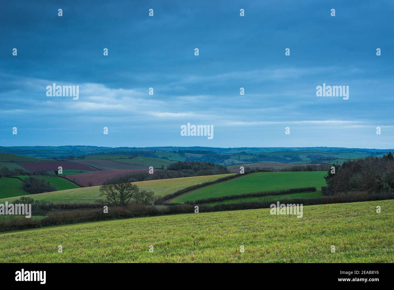 Fields of Berry Pomeroy Village in Devon in England in Europe Stock ...