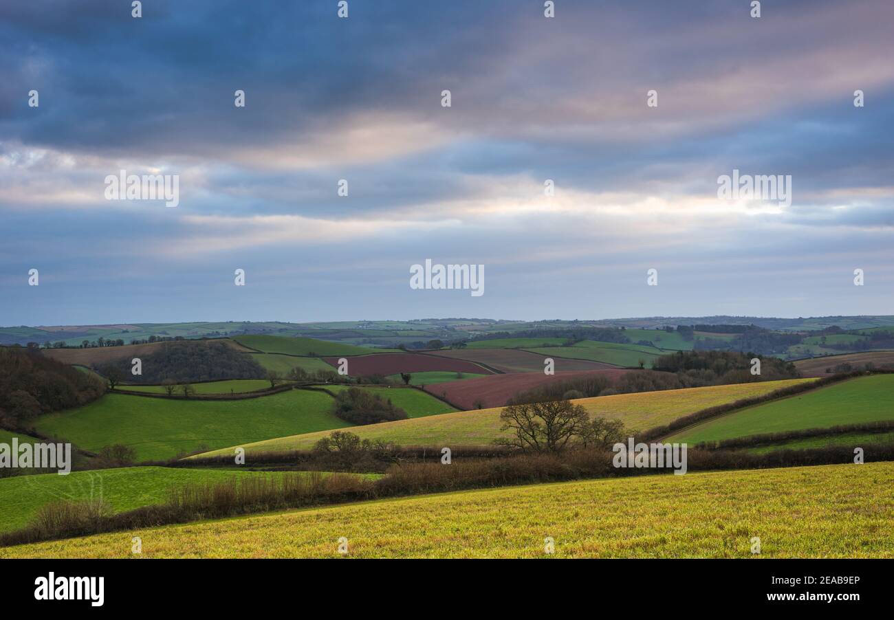 English Field England High Resolution Stock Photography and Images - Alamy