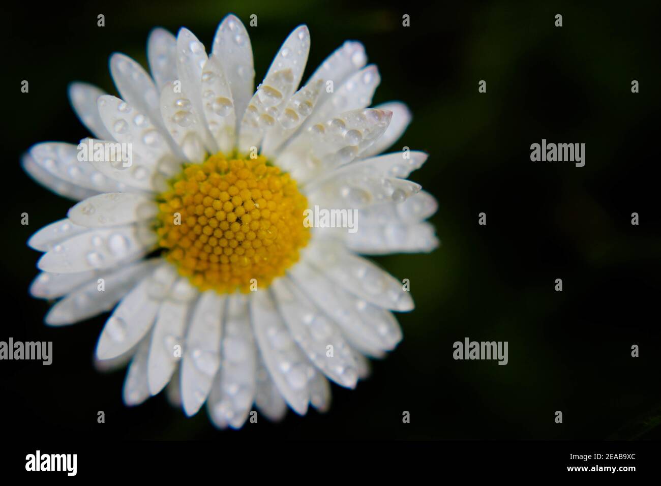 One at a time hi-res stock photography and images - Alamy