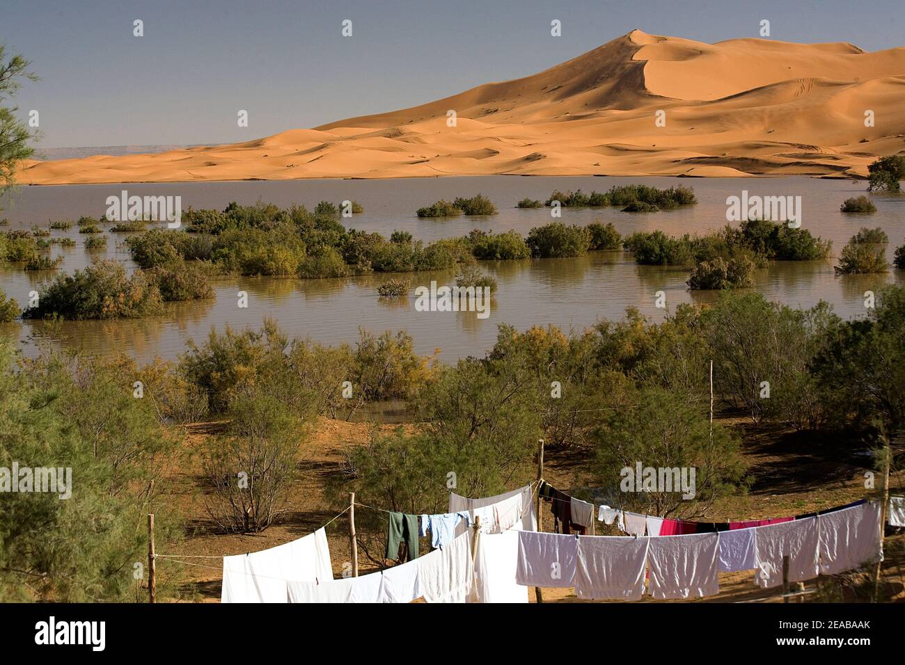 Oasis in the Merzouga Dunes of Morocco Stock Photo - Alamy