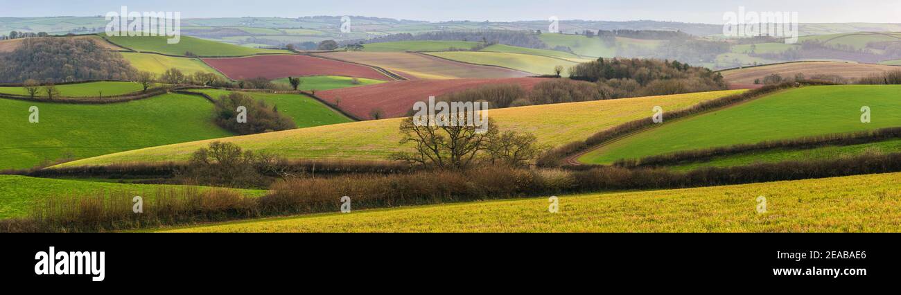 Fields of Berry Pomeroy Village in Devon in England in Europe Stock ...