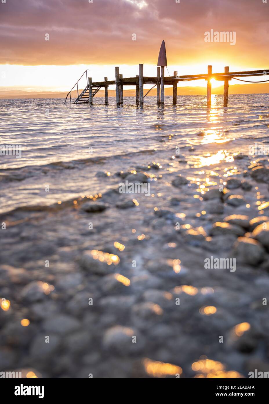Bathing in sun hi-res stock photography and images - Alamy