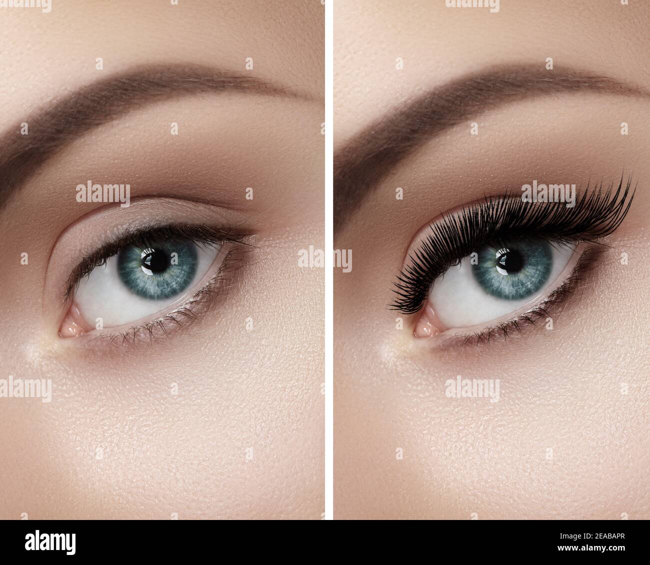 Staring brows art hi-res stock photography and images - Alamy