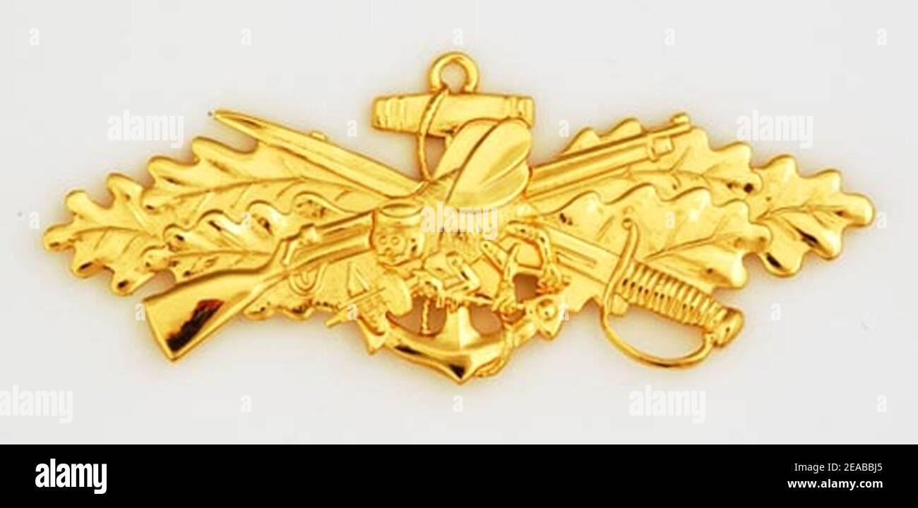 Navy Seabee Combat Warfare Specialist Insignia - Officer Stock Photo ...