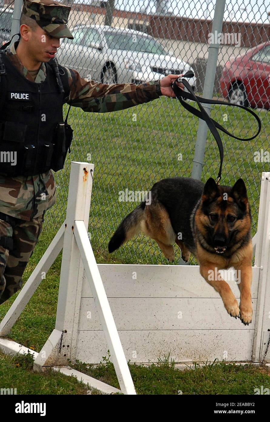 Navy working dogs hi-res stock photography and images - Alamy