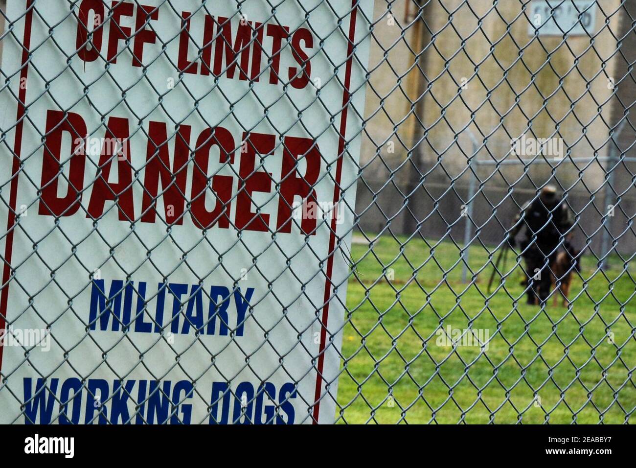 Navy working dogs hi-res stock photography and images - Alamy