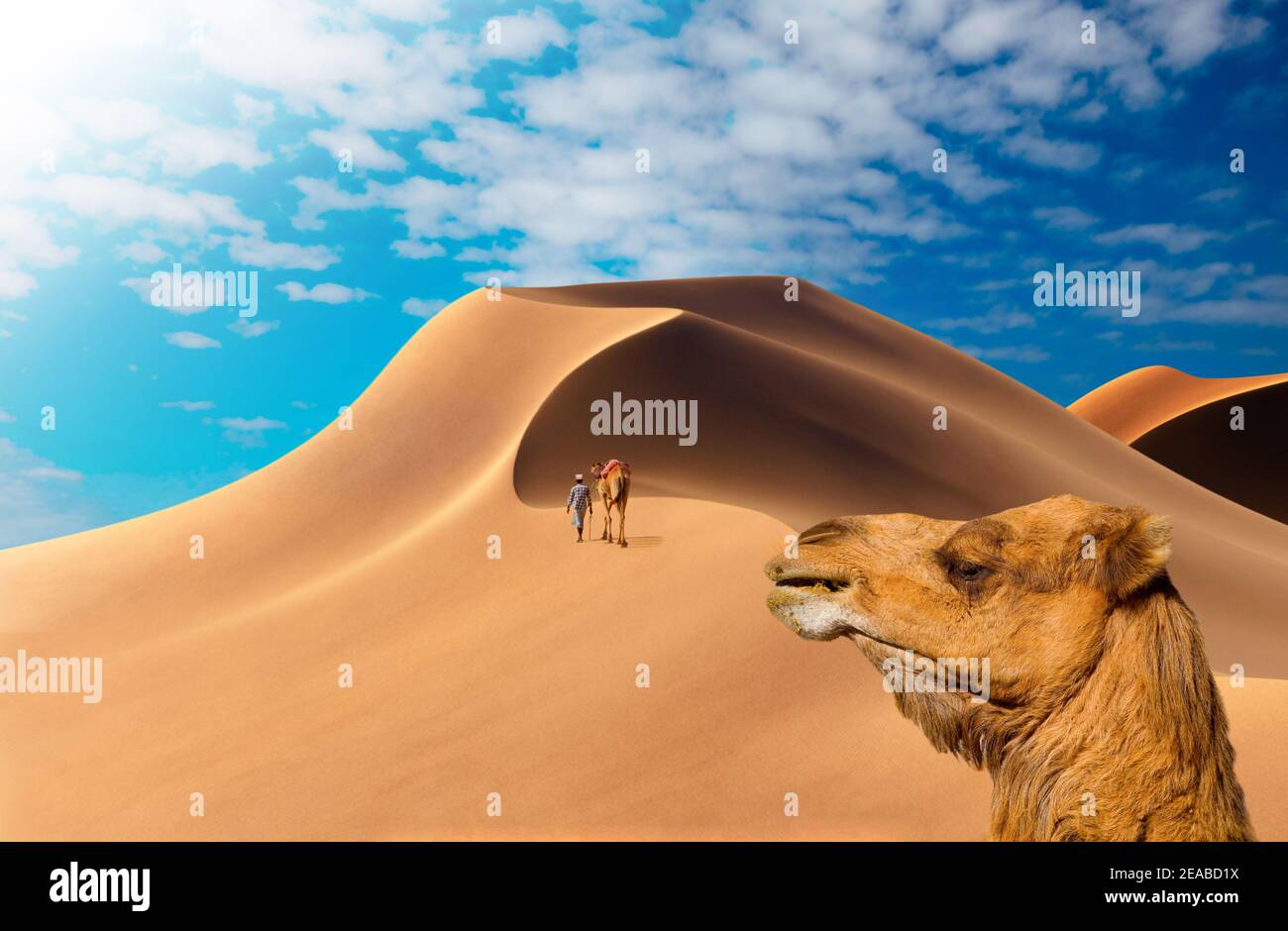 Desert guide hi-res stock photography and images - Alamy