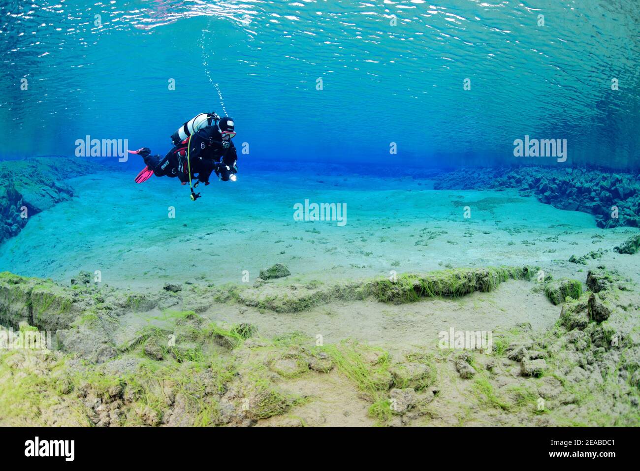 Silfra Fissure, diver in the continental fissure Silfra, diving between ...