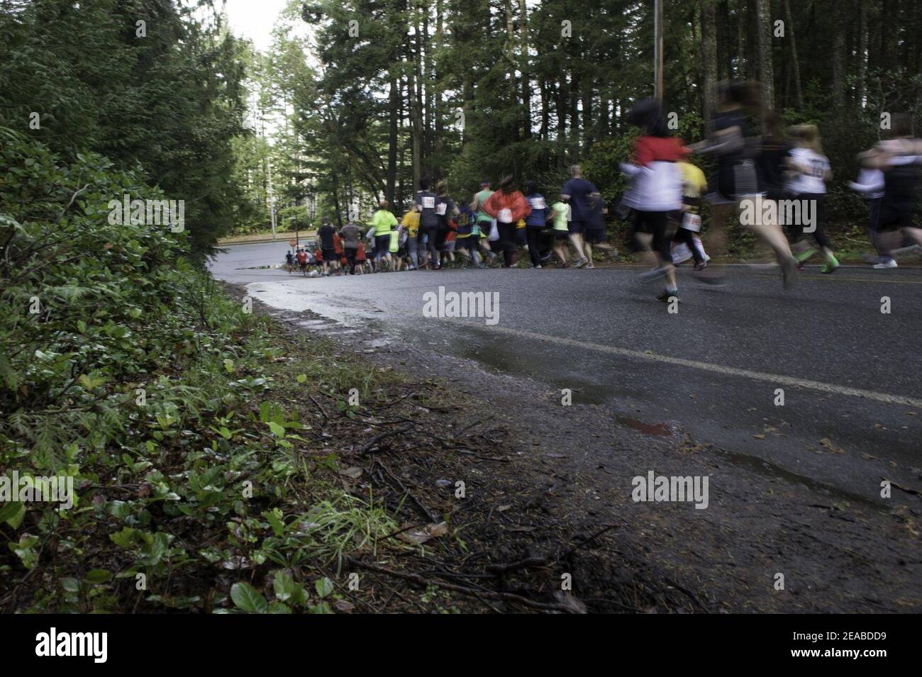 Zombie 5k hi-res stock photography and images - Alamy