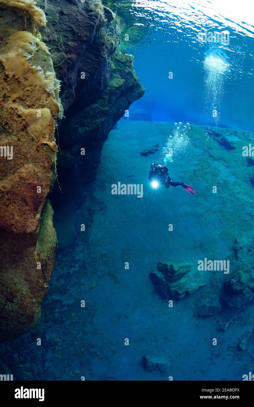Silfra Fissure, diver in the continental fissure Silfra, diving between ...