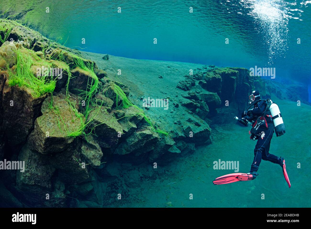 Silfra Fissure, diver in the continental fissure Silfra, diving between ...