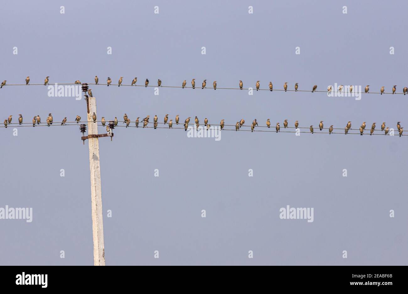 Cable line hi-res stock photography and images - Alamy