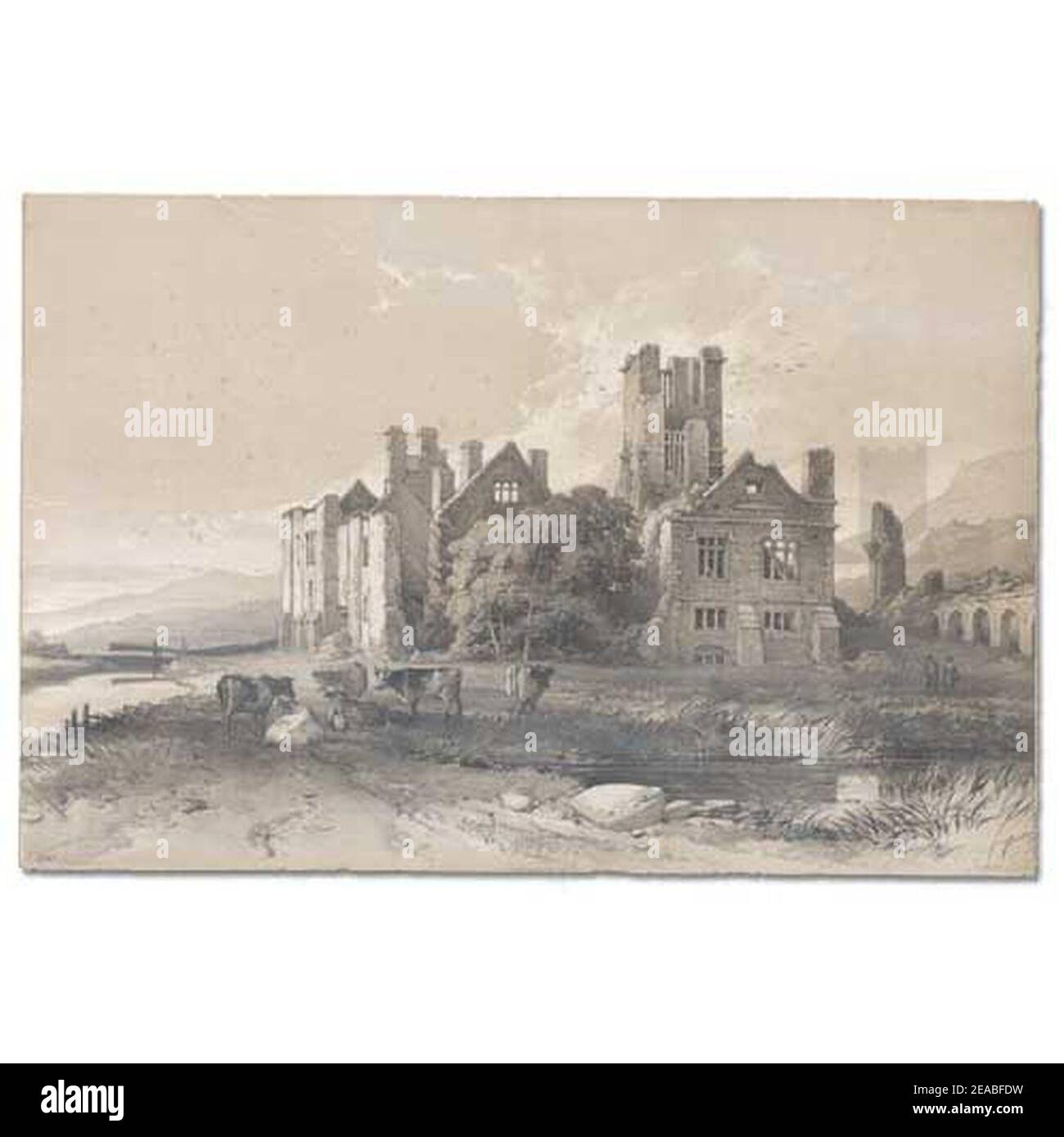 Syer hi-res stock photography and images - Alamy