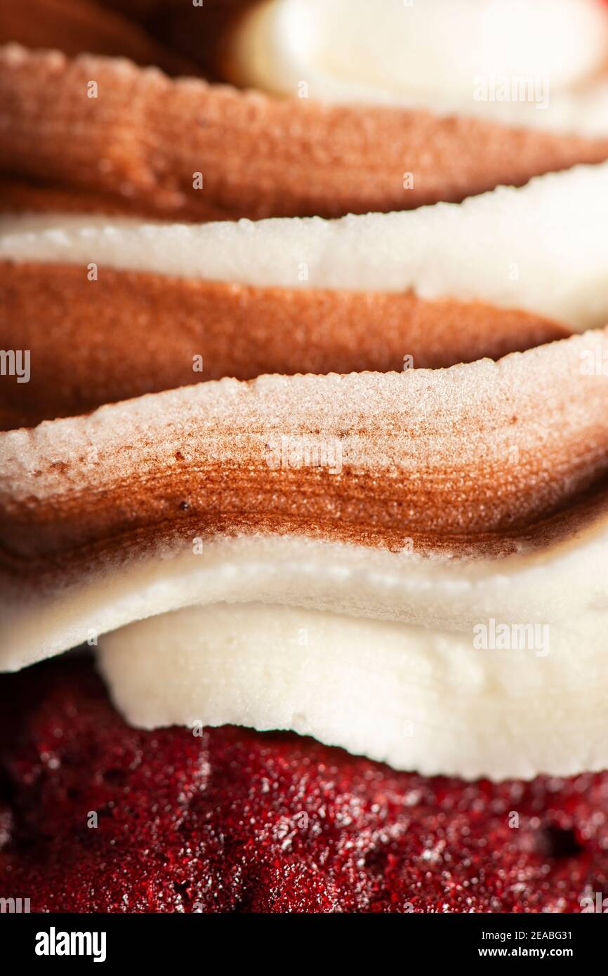 Valentine's Day themed red velvet cupcakes with chocolate and vanilla ...