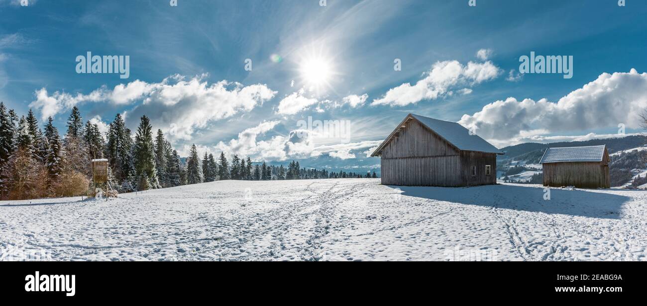 Empty stable hi-res stock photography and images - Alamy