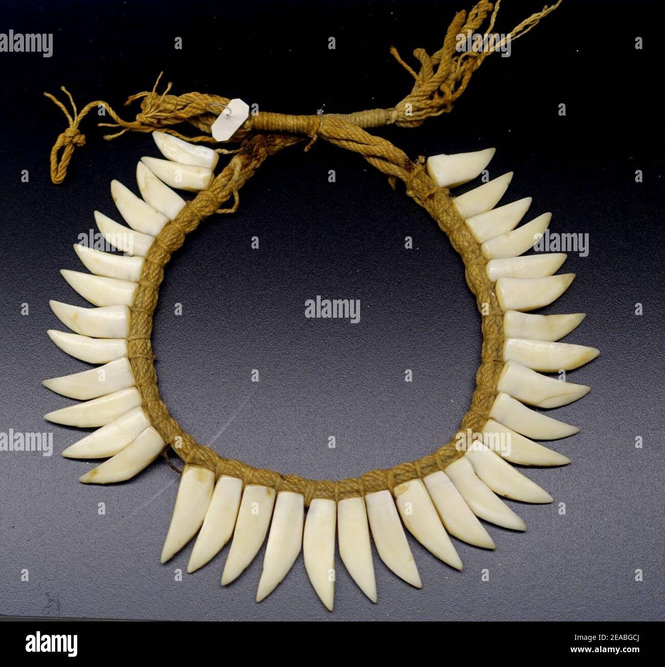 Necklace, Ticuna people, teeth, cotton Stock Photo - Alamy