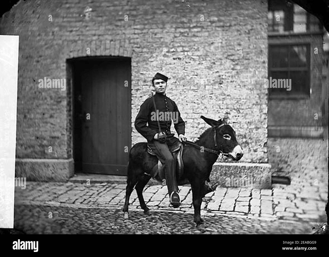 Donkey pool hi-res stock photography and images - Alamy