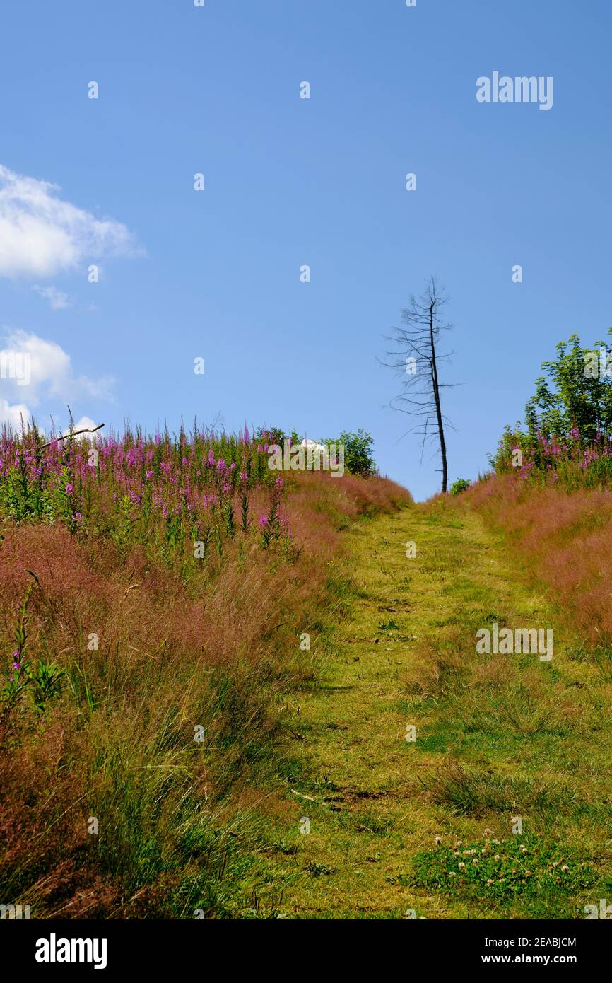 Hessian rhon biosphere reserve hi-res stock photography and images - Alamy