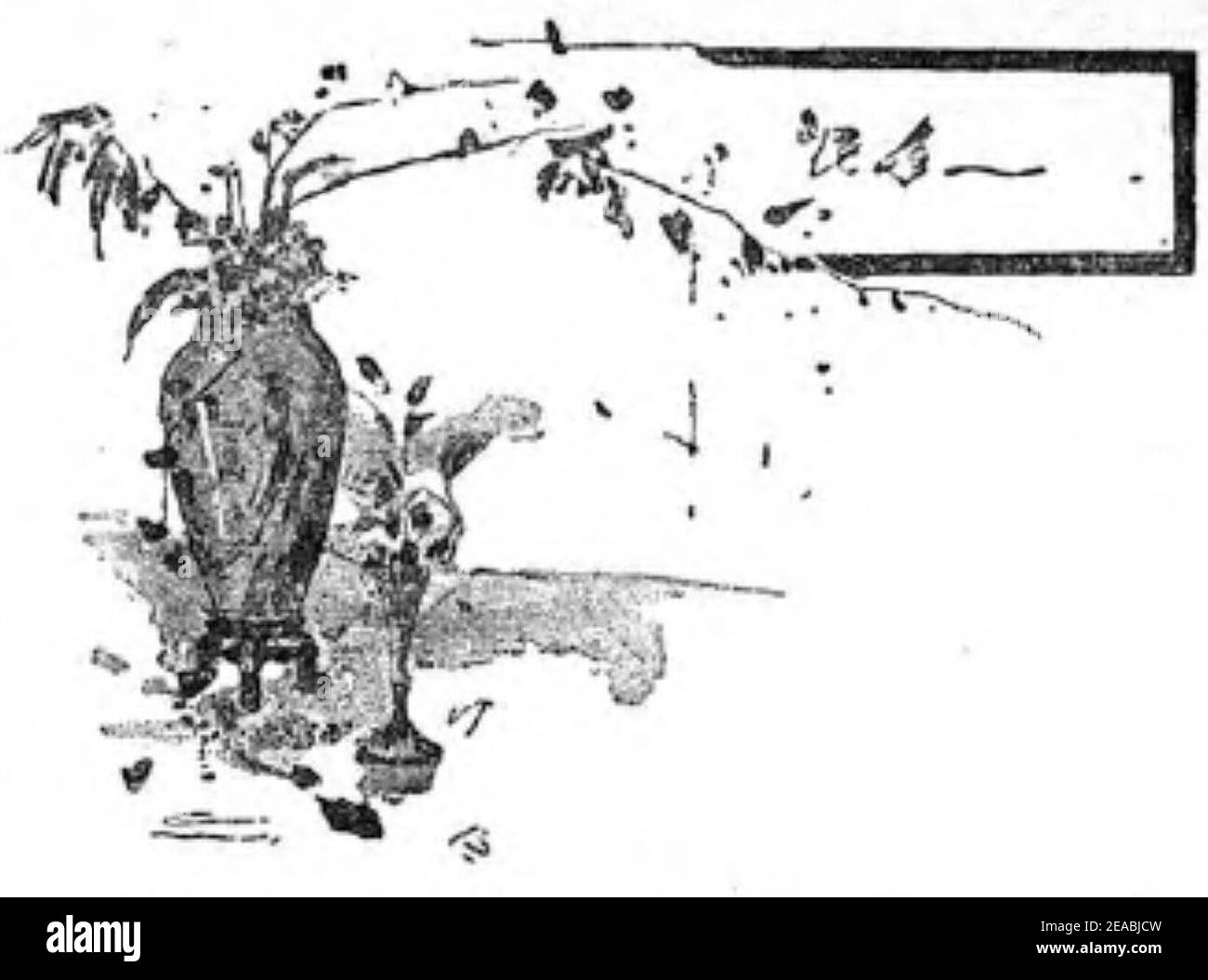 Lydia page hi-res stock photography and images - Alamy