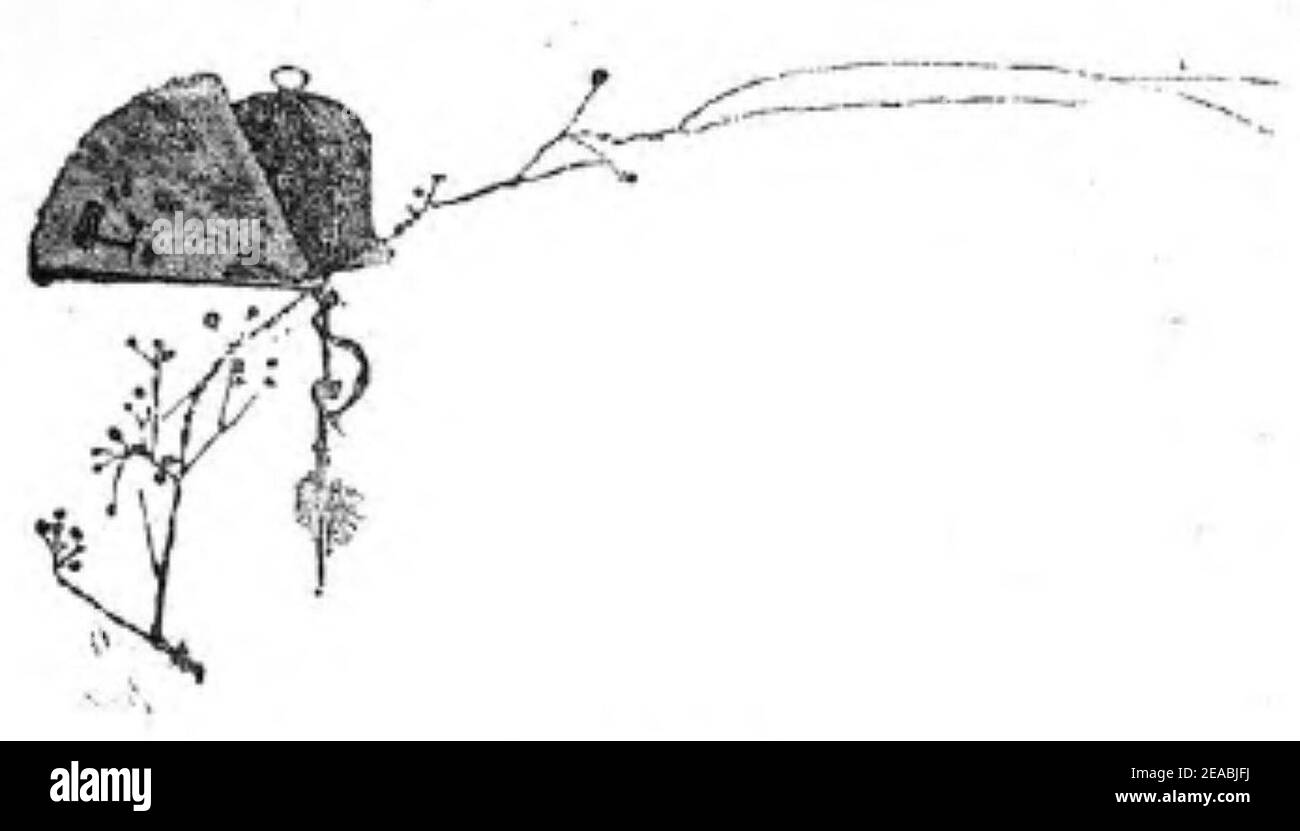 Lydia page Cut Out Stock Images & Pictures - Alamy