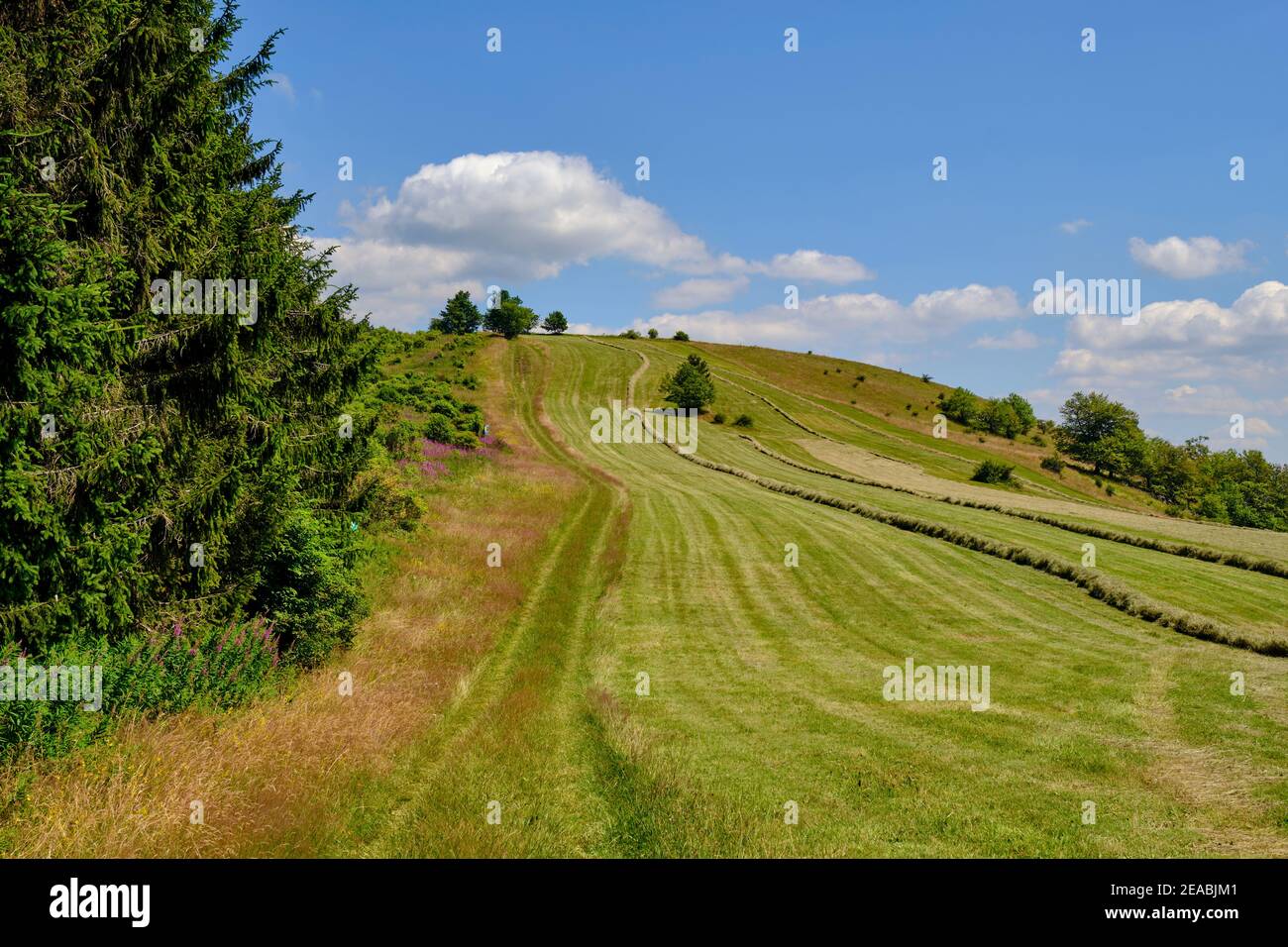 Landscape on the Himmeldunkberg in the Rhön Biosphere Reserve between ...