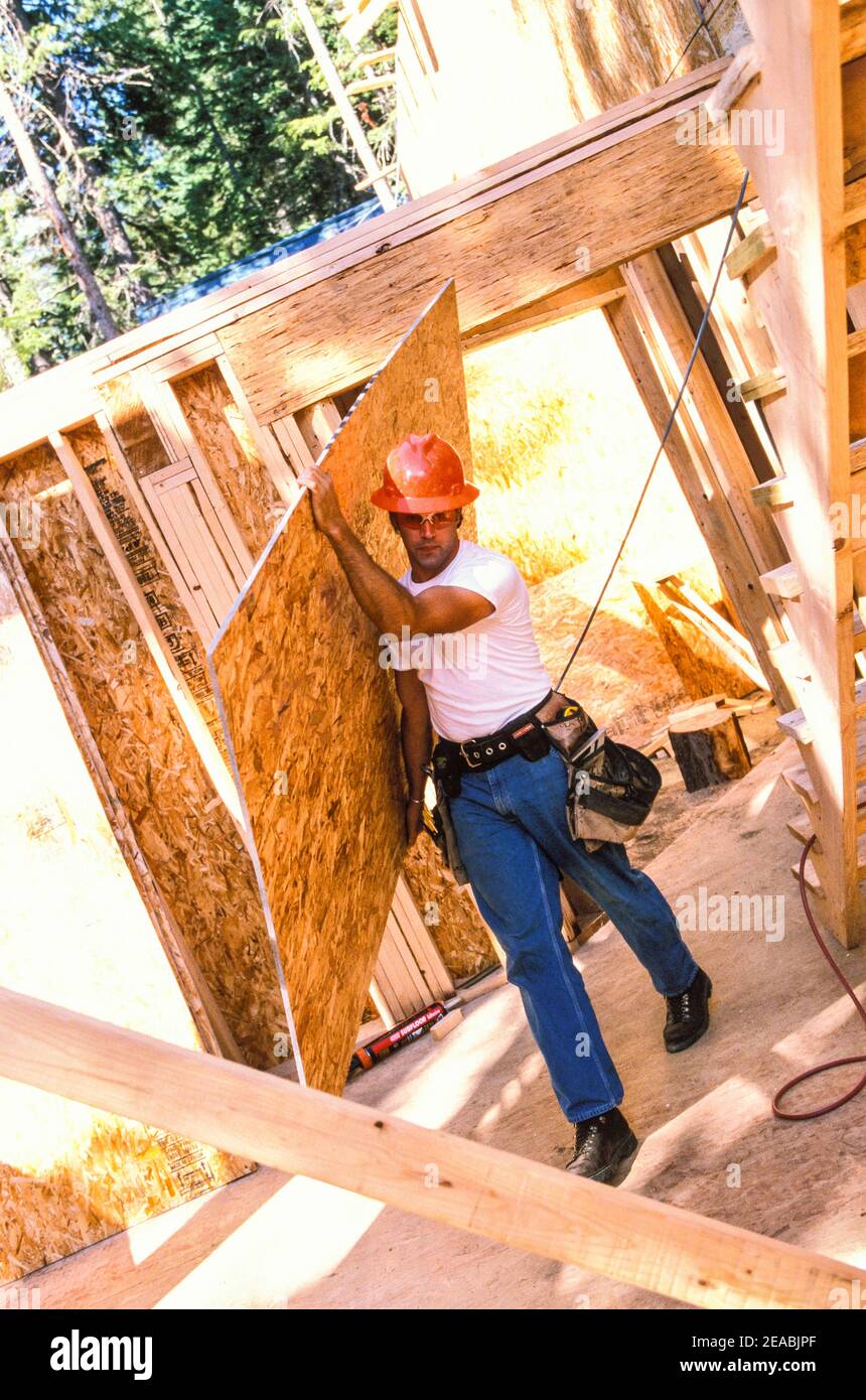 A construction worker carrying a sheet of wafer board on a construction ...