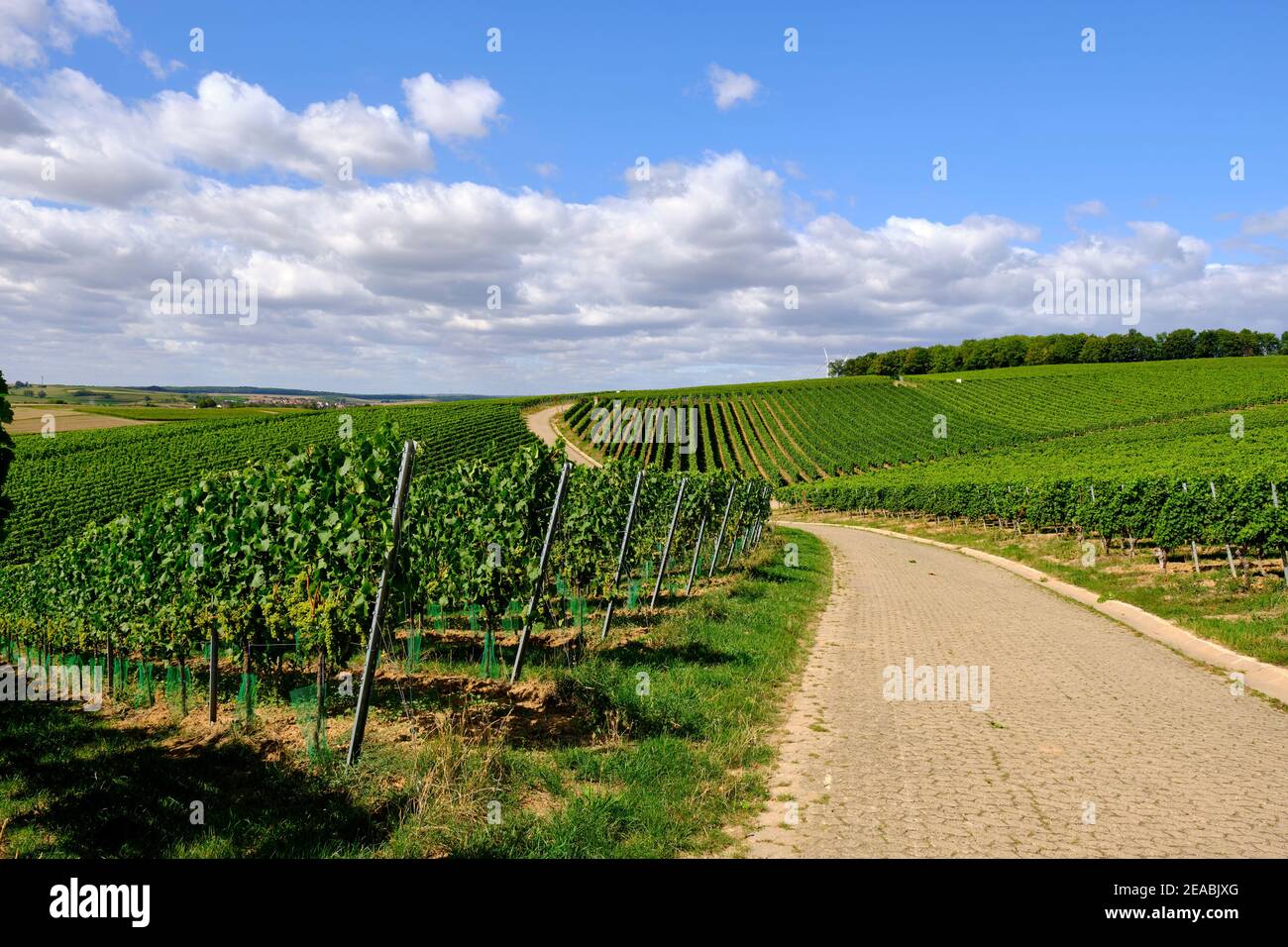 Landscape and vineyards near Wipfeld, Schweinfurt district, Lower ...