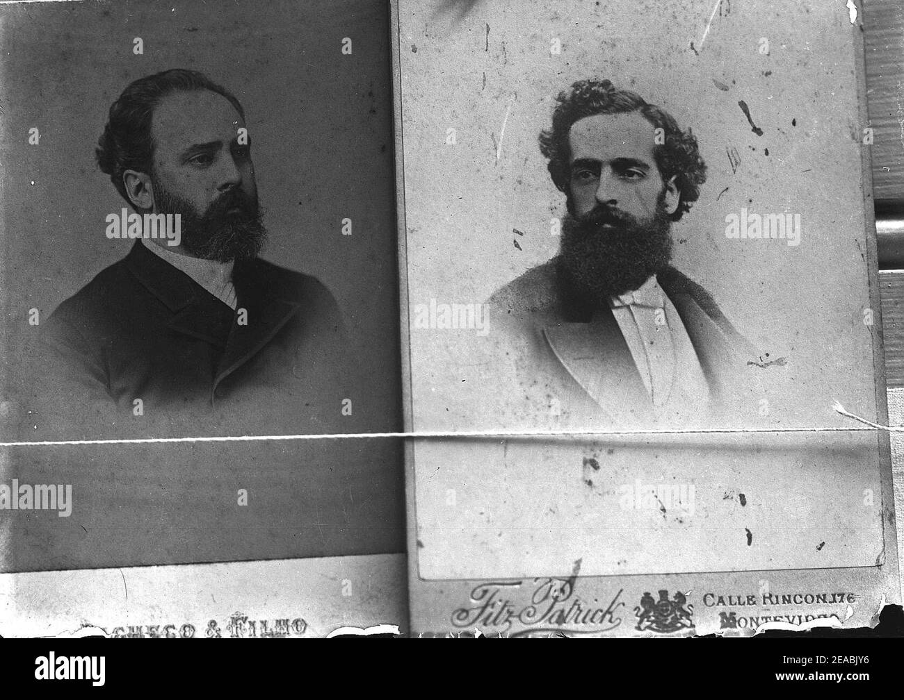 Neg. 45. Retratos (Fritz Patrick Stock Photo - Alamy