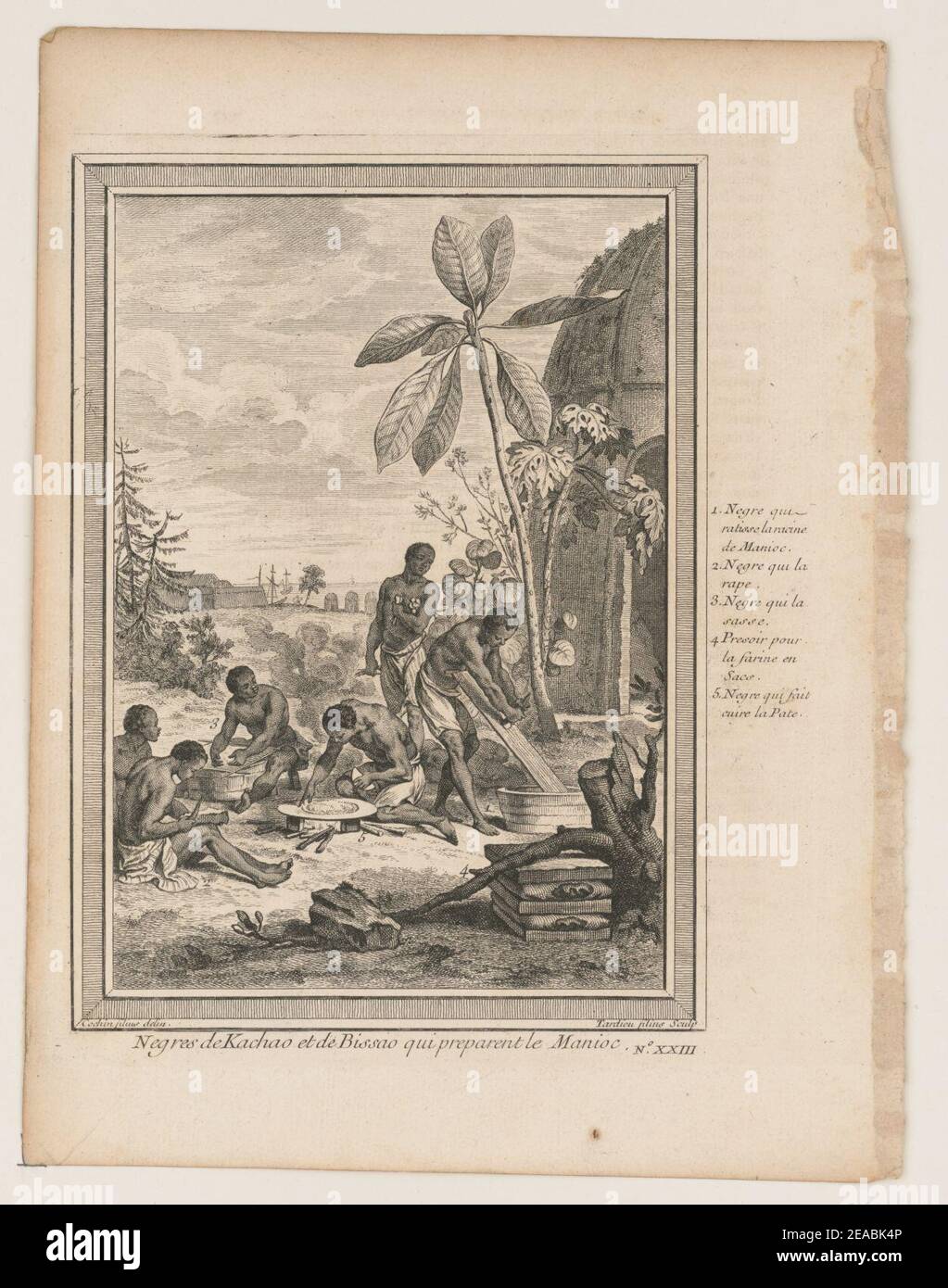 Kachao hi-res stock photography and images - Alamy