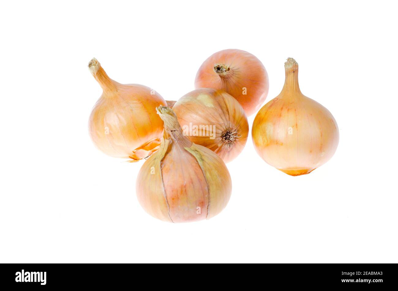 Golden onions isolated on white. Studio Photo Stock Photo - Alamy