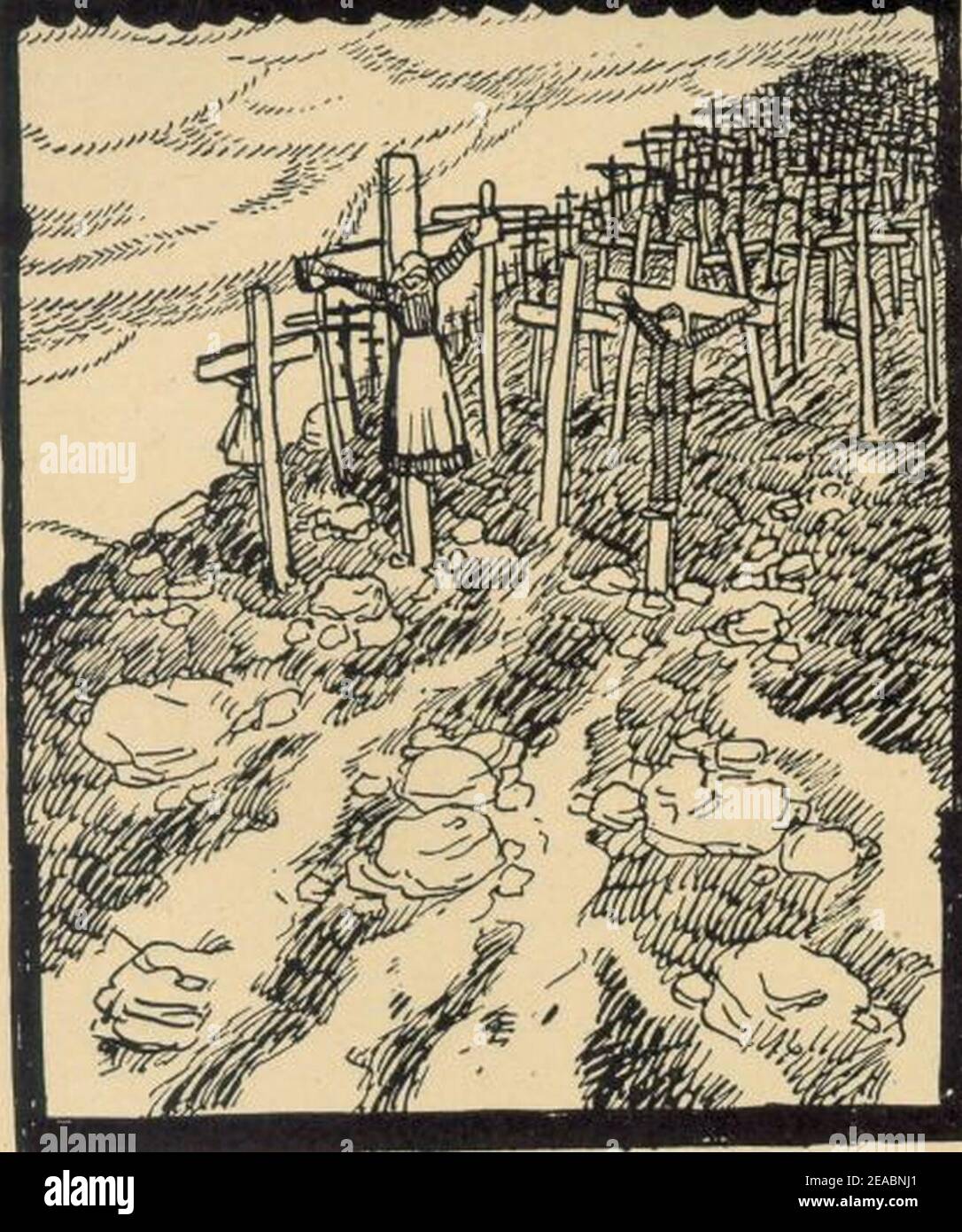 Neobjavljeni osnutek ilustracije, Smrekar Stock Photo - Alamy