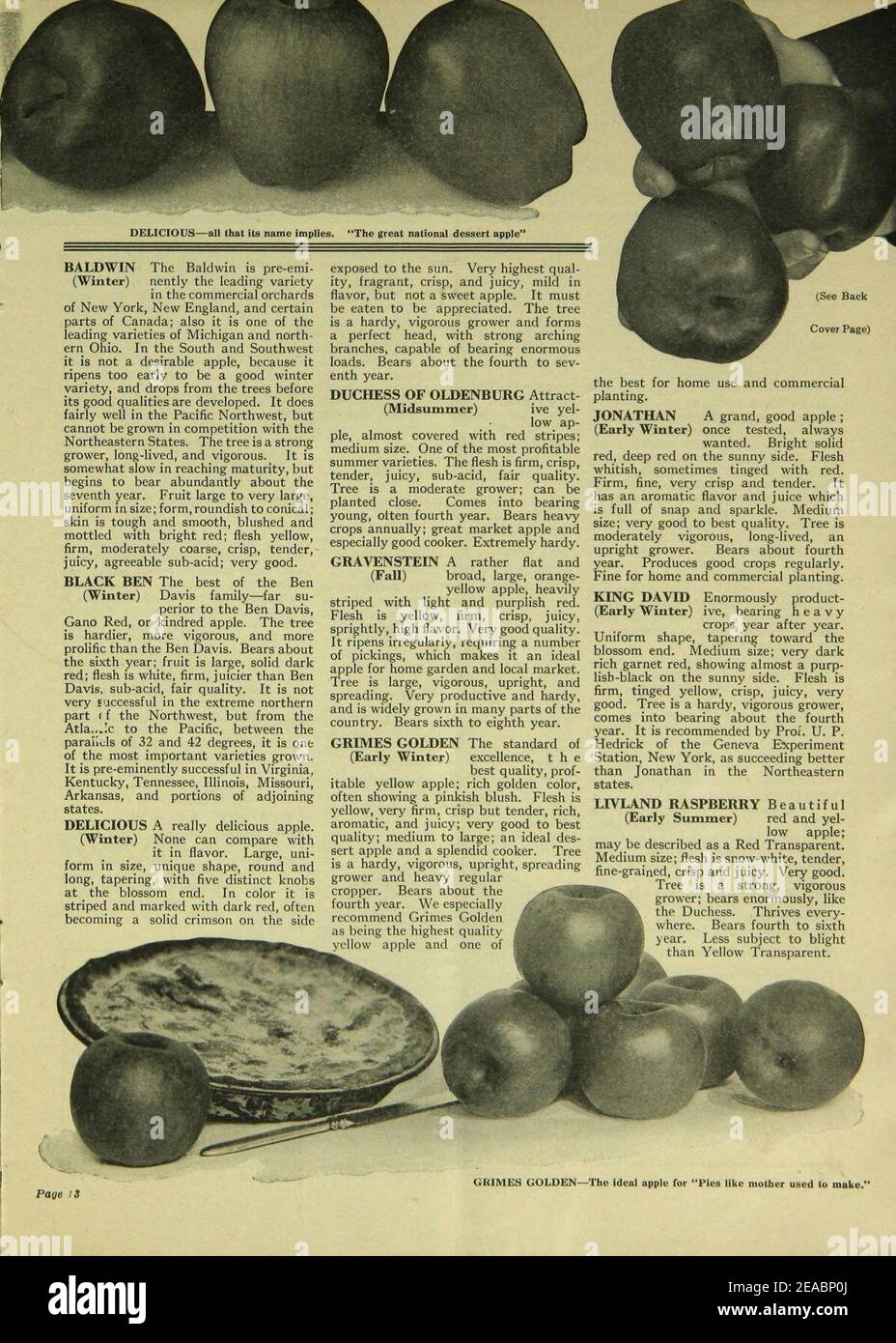 Neosho Nurseries materials (Page 13 Stock Photo - Alamy