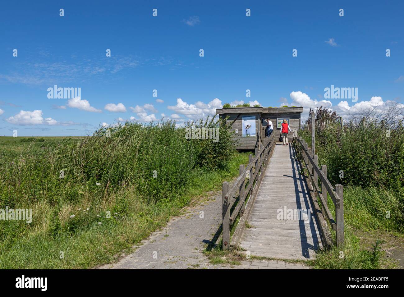 Viewing Platform Nature Reserve High Resolution Stock Photography and ...